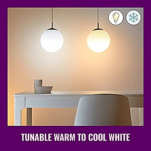 WiZ Connected 2-Pack Color 60W A19 Smart WiFi Light Bulb, 16 Million Colors, Compatible with Alexa and Google Home Assistant, No Hub Required, 2 Bulbs