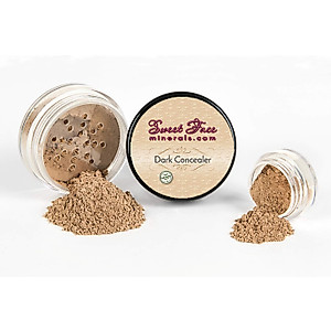 CONCEALER with BRUSH SET Full Size Mineral Makeup Powder Kit Sheer Bare Skin SPF 20 (Light Concealer)