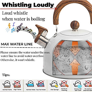 Tea Kettle - 3 Quart Whistling Tea Kettle Stainless Steel Tea Pots for Stove Top Stylish Kettle With Anti-slip Handle Whistle Folding Water Kettle Stovetop Tea Pot for Boiling Water Gift White