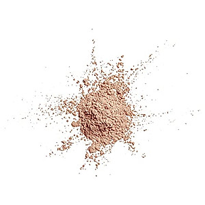 COVERGIRL Professional Loose Finishing Powder, Translucent Light Tone, Sets Makeup, Controls Shine, Won't Clog Pores, 0.7 Ounce (Packaging May Vary)