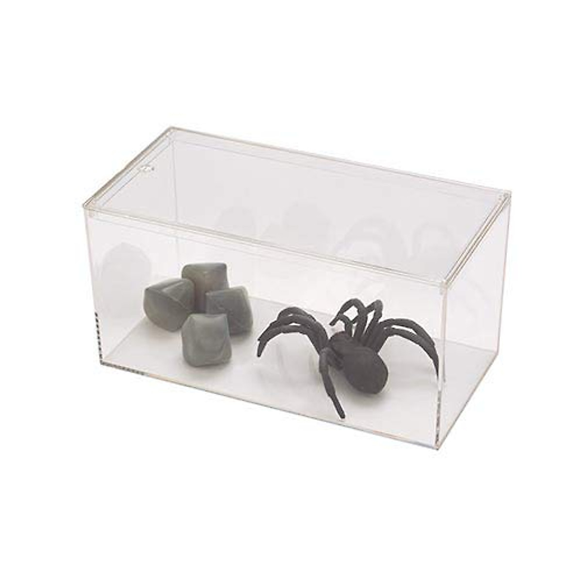 Pioneer Plastics 083CAQUA Clear Micro Habitat Terrarium, Tarantula Enclosure, Desktop Aquarium, 7.75" W x 3.75" D x 3.75" H