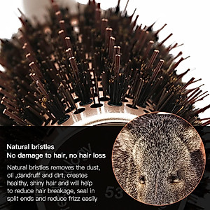 Aozzy Round Brush Set, Boar Bristle Round Brush for Blow Drying, 4 Different Sizes, Nano Thermal Barrel Round Hair Brush for Curling and Straightening, Drying, Styling, Blow Out Brush for Women