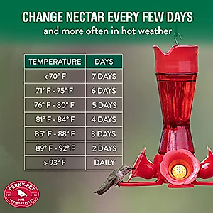 Perky-Pet 238 Red Hummingbird Liquid Nectar 32 Oz Concentrate - Makes Up To 128 Fluid Ounces of Nectar