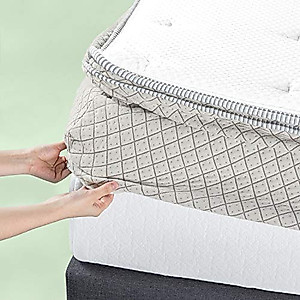 ZINUS 1.5 Inch Green Tea Pressure Relief Memory Foam Mattress Topper with Fitted Cover for Mattresses 12 Inches and under, Queen, White
