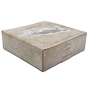 Ilyushin Il-10 (1:72 Scale) - WWII Warbird