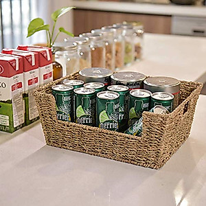 StorageWorks Seagrass Wicker Baskets