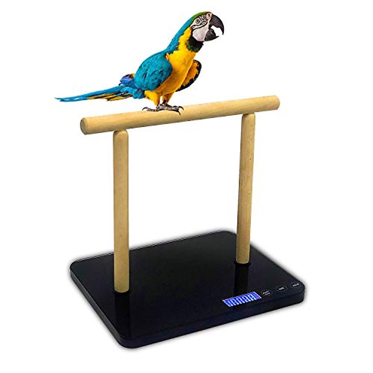 MINDPET-MED Digital Bird Scale with Perch, Bird Scale Grams, Max 44lbs, Capacity with Precision up to ±1g, Black, Suitable for Parrot and All Kinds of Bird