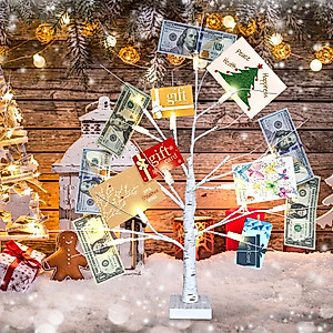 DECORKEY Money Tree Gift Holder, 24" 2FT Birch Tree with LED Lights, Battery Powered Timer Display Trees Stands with 12 Clear Clips Card, for Christmas, Birthday, Wedding, Photo, Graduation (White)