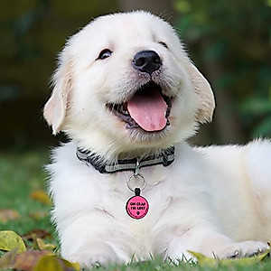 MYLUCKYTAG Silent Silicone QR Code Pet ID Tags Dog Tags - Pet Online Profile - Scan QR Receive Instant Pet Location Alert Email