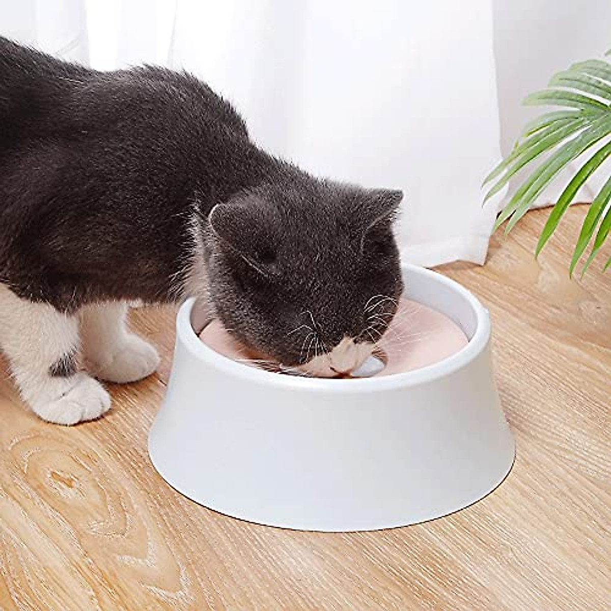 FUUIE Bowls for Food and Water Pet SuppliesDog BowlsPet Buoyancy Feeding BowlSplash-Proof Cat Bowl SuppliesAutomatic Drinking FountainsDog Kettles (Color : Blue)