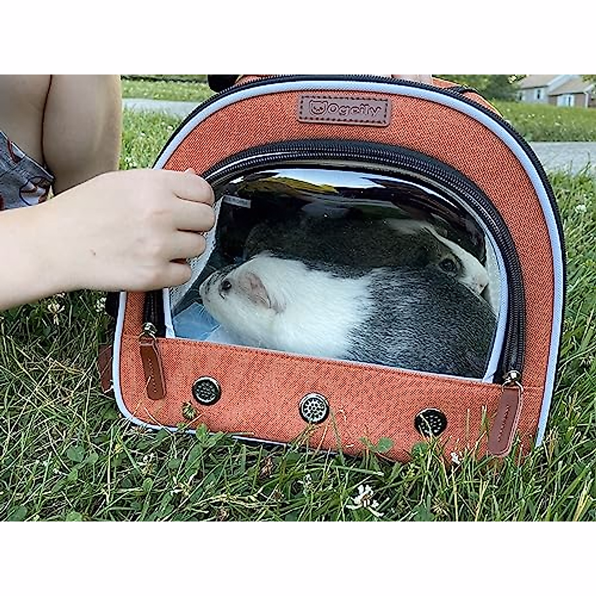 Small Bird Carrier Cage, Bunny Carrier, Pet Carrier for Small Animals Guinea Pig Hamster Rat Travel Carrier Cage