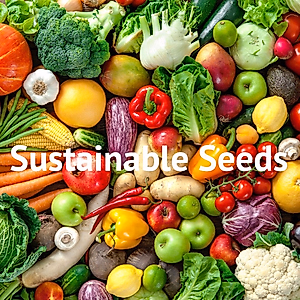 David's Garden Seeds Fruit Papaya Sunset 15 Non-GMO, Heirloom Seeds