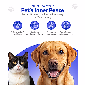 Pet Essences - Seizures Formula for Dogs, Cats, and Horses - 1oz, Safe & Natural Dog Calming Drops, Pet Seizure Support for All Species, Breeds & Ages - Featuring Organic Crowea, Impatiens & Saguaro