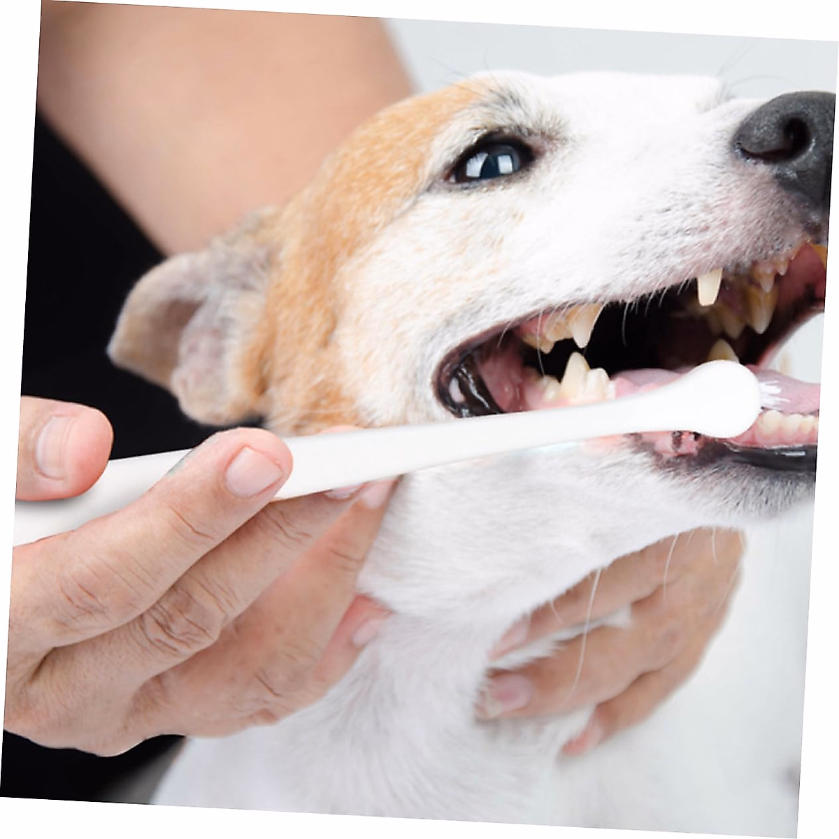 FOMIYES 8 Pcs Pet Toothbrush Dog Self Cat Toothbrush Cleaning Playset Small Head Toothbrush Gentle Dog Brush Kitten Toys Dog Teeth Cleaning Tools Wash Cleaning Kit TPE Manual