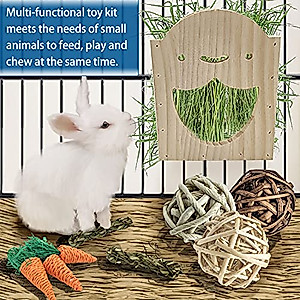 Hamiledyi Wood Rabbit Hay Feeder for Cage Bunny Hay Manger Rack Small Animals Feeding Holder Wooden Grass Dispenser with Chew Toys for Guinea Pig Chinchilla Hamster 9Pcs