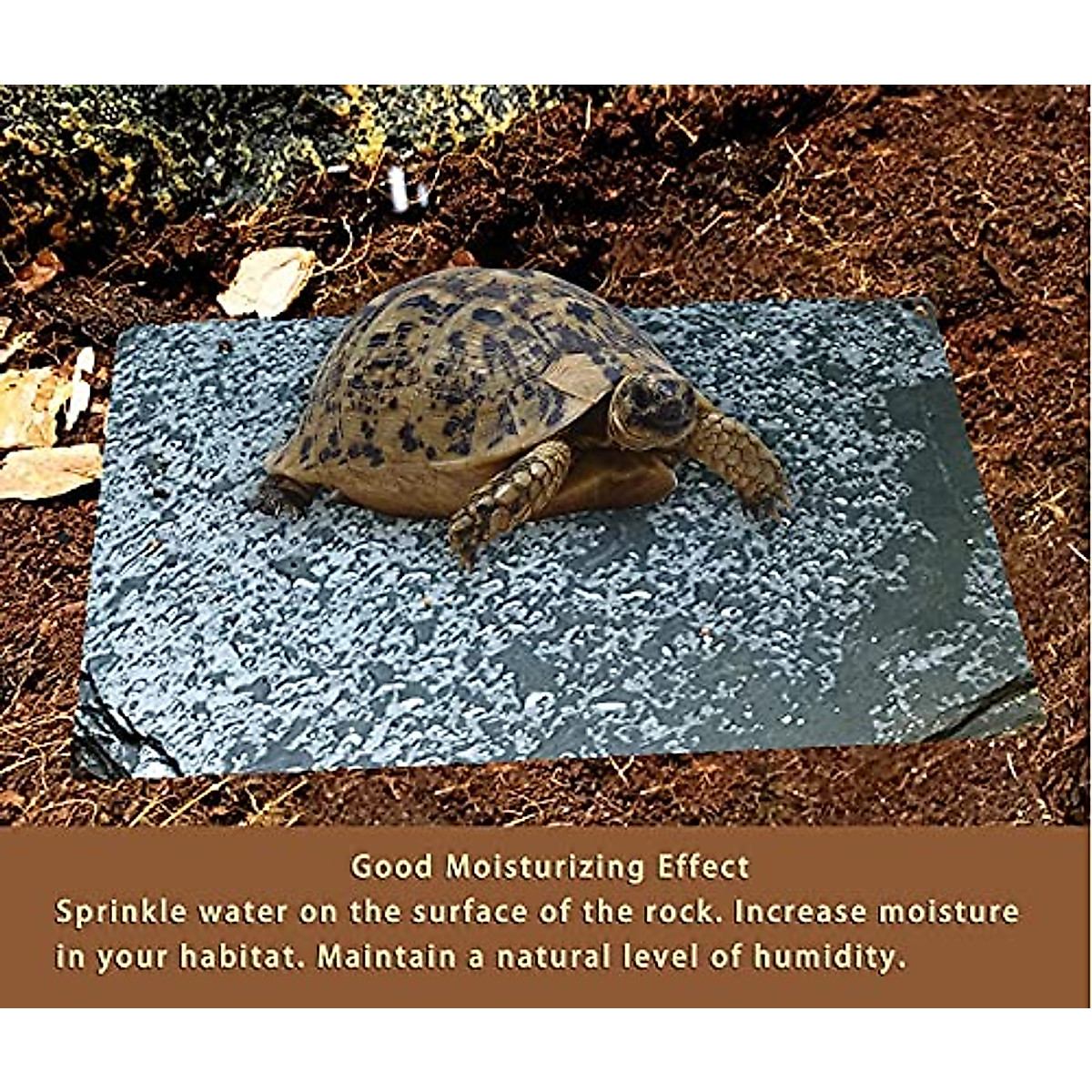 Linifar Turtle Basking Rock Tortoise Bathing Plate Reptile Platform Dish Habitat Accessories Supplies for Gekko Bearded Dragon Squirrel Hedgehog