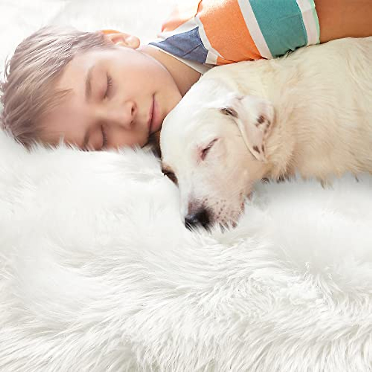 Noahas White Faux Fur Rug,Luxury Fluffy Rugs for Bedroom,2 x 3 Feet Washable Area Rugs,Sheepskin Bedroom Rug,Furry Carpet Small Shag Rug,Soft Throw Rugs for Living Room,Kids Boys Girls Room Decor