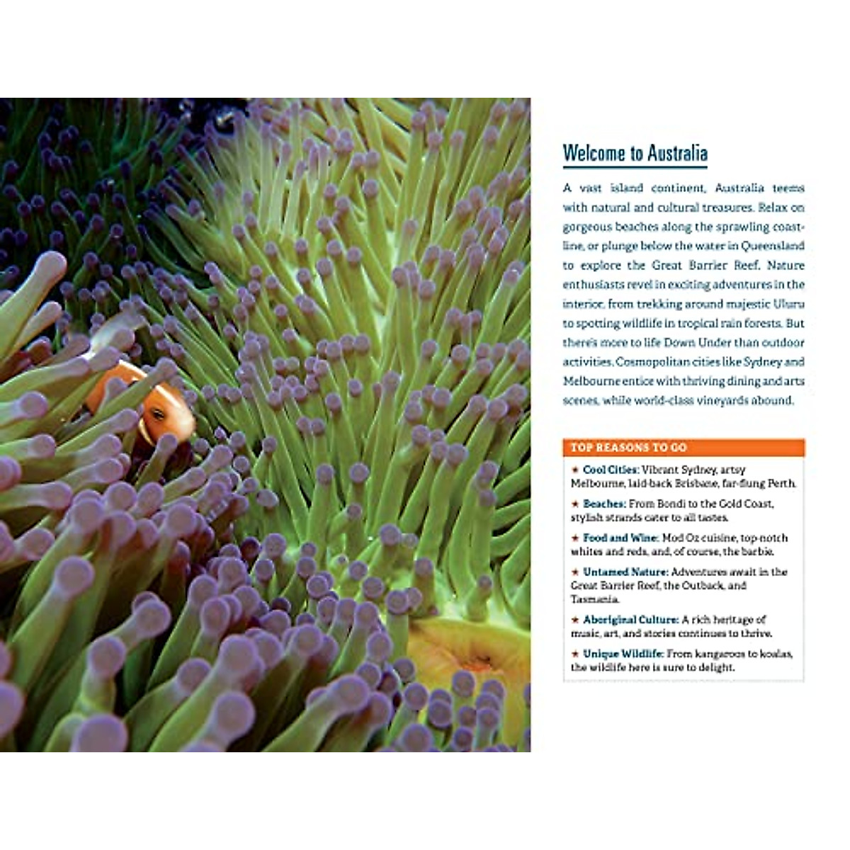 Fodor's Essential Australia (Full-color Travel Guide)