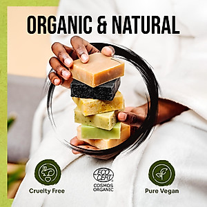 SoapFactory Dandruff Shampoo Bar for Oily Hair, Organic Hair Soap with Activated Charcoal for Men and Women, 100% Natural, Vegan, Handmade, 3 ounce