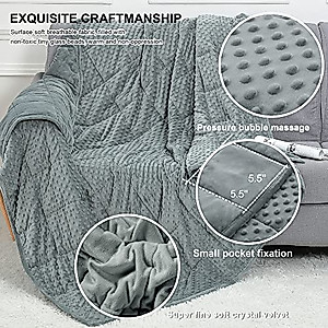Alomidds Weighted Blanket (60"x80",20lbs Queen Size - Grey), Weighted Blankets for Adults and Kids, Cooling Breathable Soft and Comfort Minky, Heavy Blanket Microfiber Material with Glass Beads
