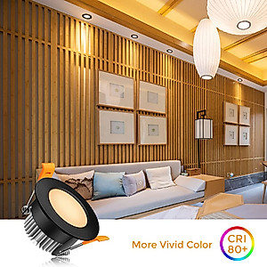 2 inch LED Recessed Lighting Dimmable Downlight, 3W(35W Equivalent), 3000K Warm White, Black LED Recessed Light with LED Driver (8 Pack)