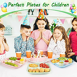 DLF. DONGLINFENG Adult Compartmentalized Dinner Plates 5-Piece Set Unbreakable Portion Control Wheat Plastic Dinner Plates (Compartmentalized Plates/Picnic Plates) 10-Inch