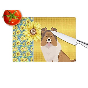 Caroline's Treasures WDK5482LCB Summer Sunflowers Sable Sheltie Glass Cutting Board Large Decorative Tempered Glass Kitchen Cutting and Serving Board Large Size Chopping Board