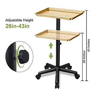 Chetunju Golden Salon Tray Premium Aluminum Rolling Tray Adjustable Height Use for The Tattoo Tray Hairstylist Tray with Wheels Salon Tray spa(Golden)