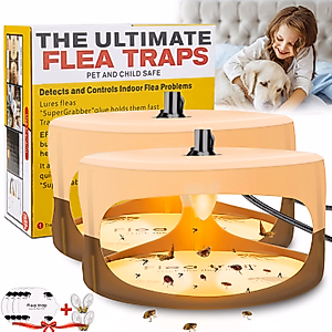 Flea Trap, Indoor Sticky Flea Trap with 2 Glue Discs Odorless Non-Toxic Natural Flea Killer Trap Pad Bed Bug Trap Light Bulb Pest Control for Home House Inside, Safe for Children Pet Dog Cat(2 Pack)