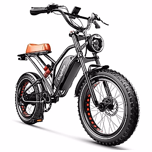 EUY Electric Bike, 2000W Motor 48V 25Ah Removable Battery Electric Bike, 20 “4.0 Fat Tire EBike 30MPH All Terrain Assist Electric Bike, Hydraulic Oil Brake, Adjustable Front Fork,Full Suspension
