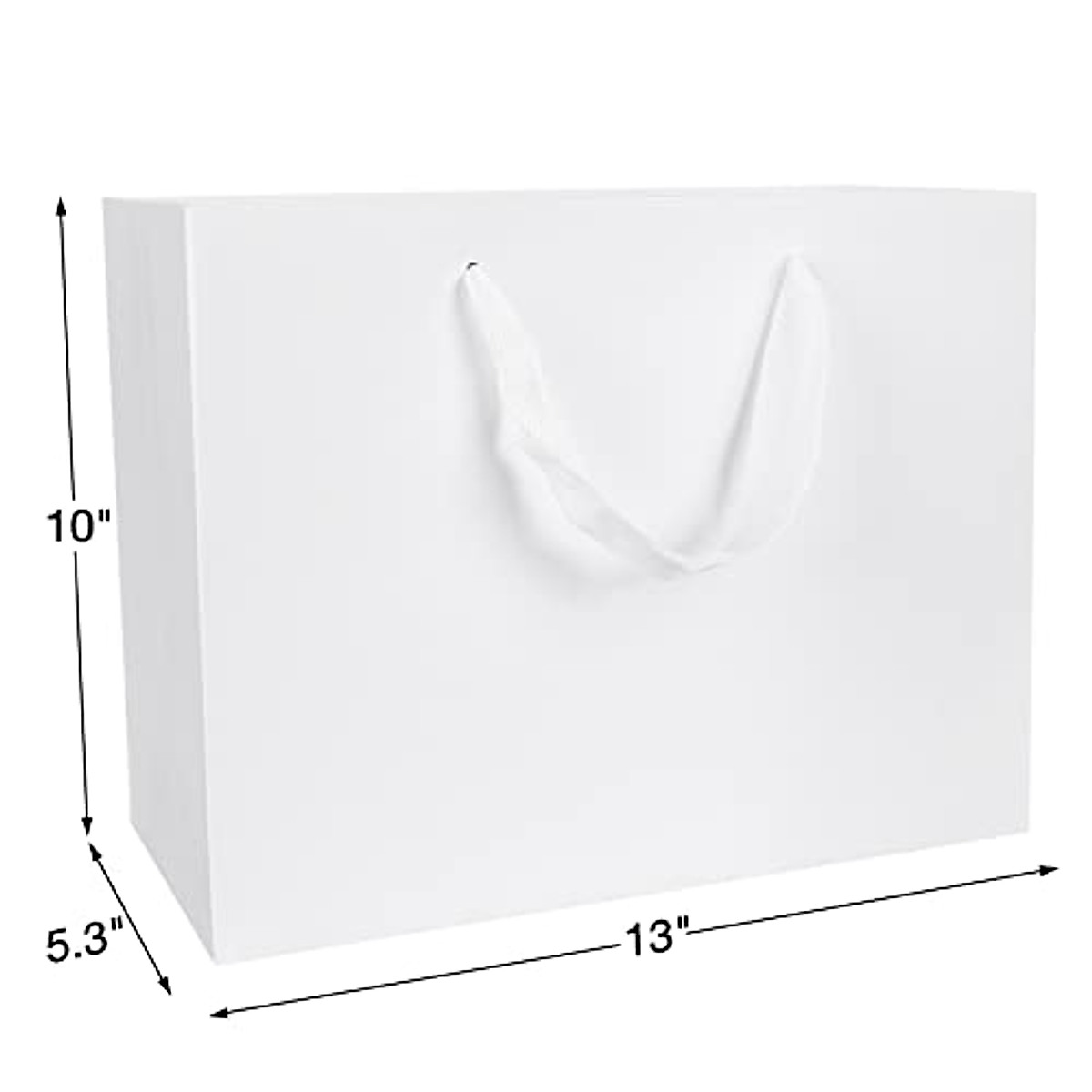Aimyoo White Paper Bags with Handles 10 Pack, Large Gift Bags for Retail Merchandise Shopping Small Business Party, 13x10x5 inch