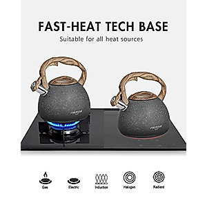 POLIVIAR Tea Kettle, 2.7 Quart Natural Stone Finish with Wood Pattern Handle Loud Whistle Food Grade Stainless Steel Teapot, Anti-Hot Handle and Anti-Rust, Suitable for All Heat Sources (JX2018-GR20)