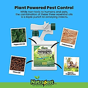 Natrapest Yard Spray - Ready to Use Flea, Tick & Mosquito Yard Spray with Natural Essential Oils - Plant Based Formula is Plant, Pet & Kid Safe - Insect Killer, Treatment & Repellent - 32 oz