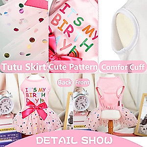 Dog Birthday Dress, Summer Girl Dog Clothes for Small Dogs, Pink Puppy Dress, Chihuahua Yorkie Dress Costume, Pet Clothing Dog Clothes Outfit Cat Apparel (Small)