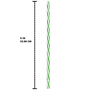 Sunshine Mason Co. Plastic Reusable Drinking Straws 6 Pieces, Green Stripe
