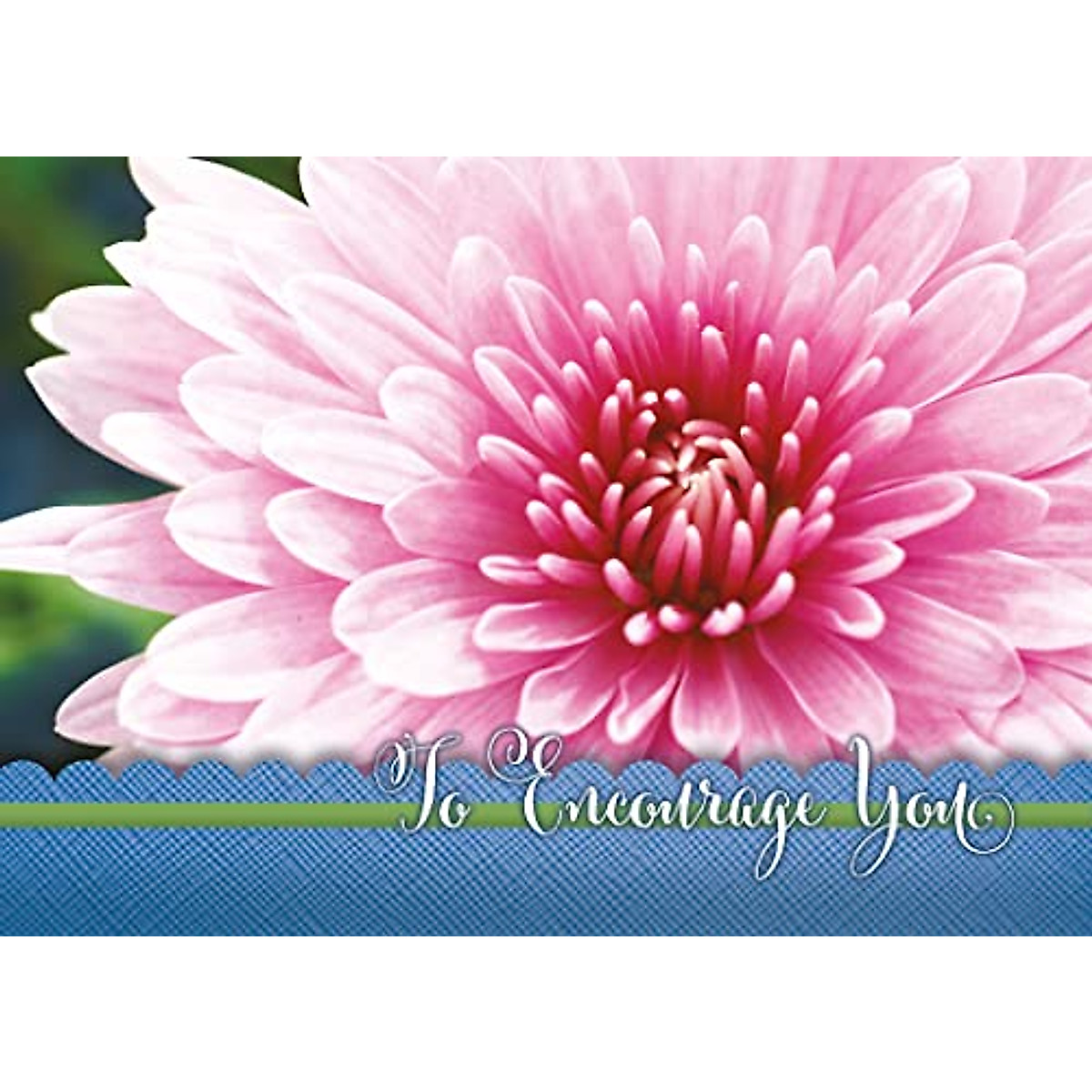 Secret Sister - All Occasion - It's A Secret - KJV and NIV Scripture Greeting Cards - (Box of 12)
