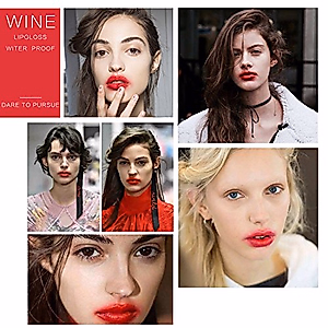 6 Colors Lip Gloss Set Wine Lipstick Matte Long Lasting Waterproof Lip Tint Set Lip Stain