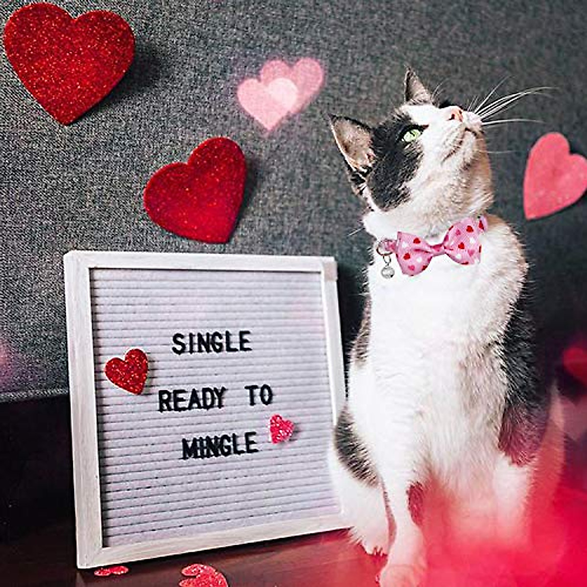 Pohshido Valentine's Cat Collar with Bow Tie and Bell, Holiday Breakaway Loving Heart Kitty Kitten Collar for Girls and Boys Male Female Cats (Love Song)