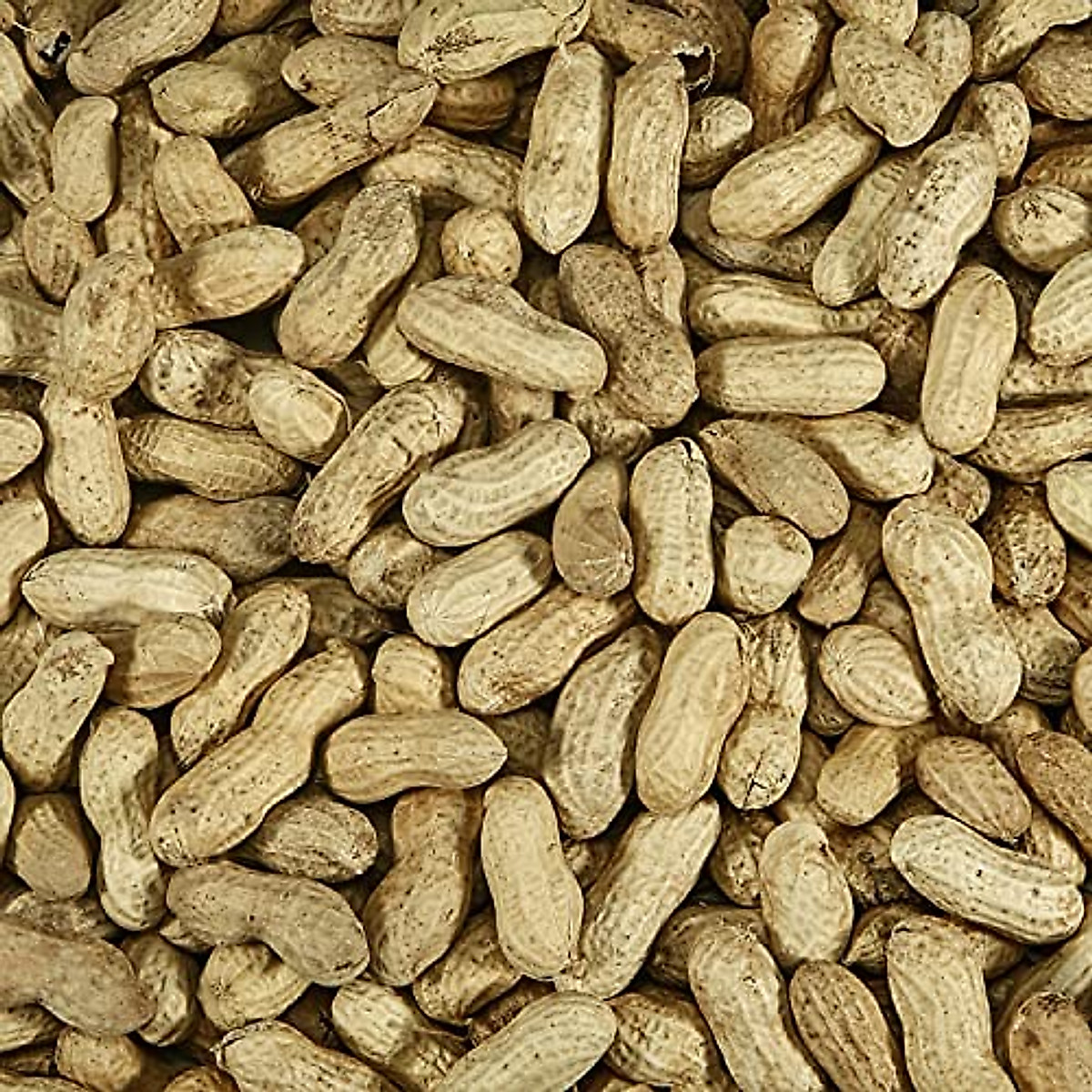 Kaytee Peanuts in Shell for Squirrels, Woodpeckers, Nuthatches, Jays, Towhees, Cardinals, Indigo Buntings, and Other Wild Birds, 5 Pound