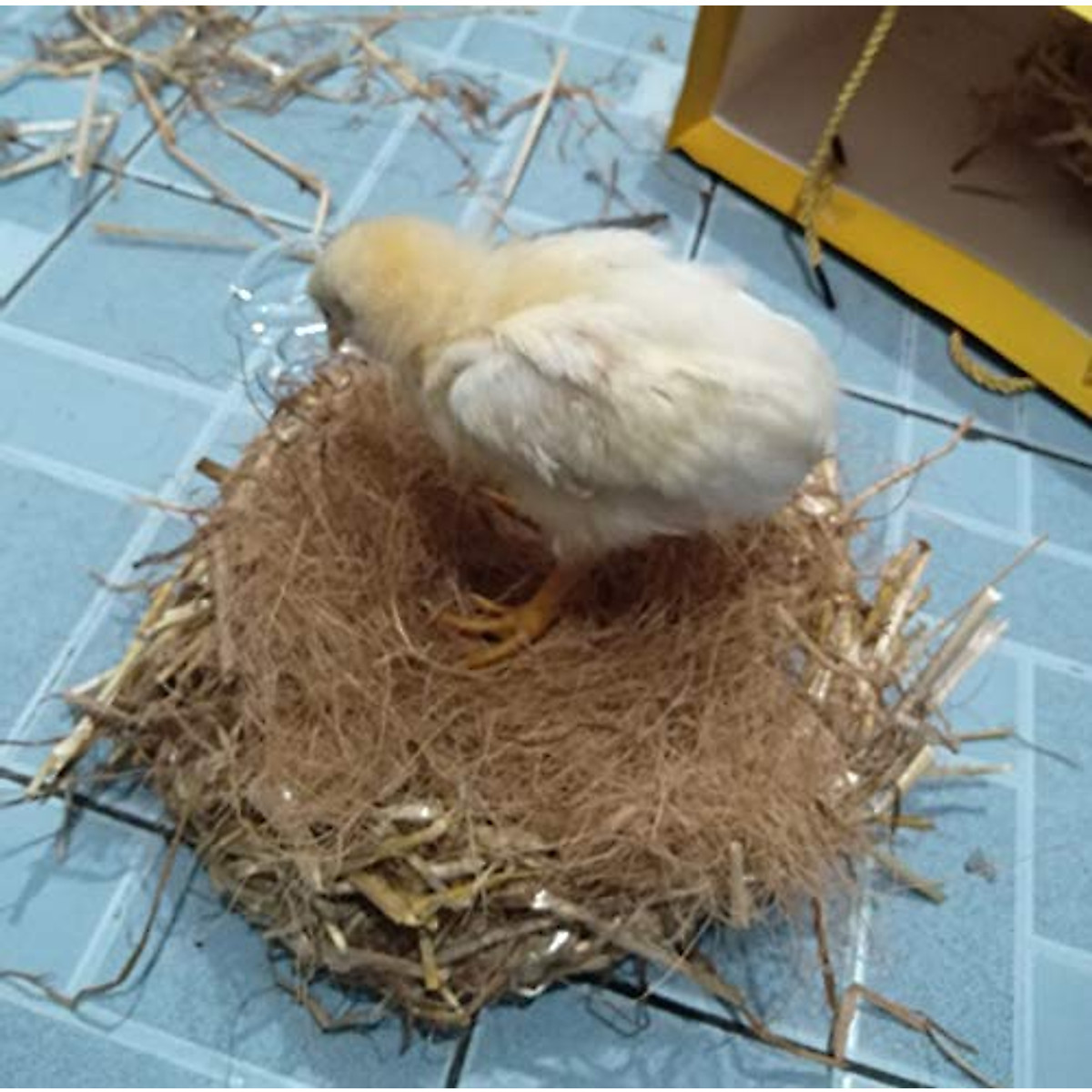 Lucky Interests Coconut Fiber, 9oz. Comfortable Bedding for Small Birds and Animals, Nest Material for Nest Building, Hideouts, Plants and Upholstery