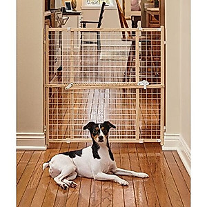 MidWest Homes for Pets Wire Mesh Pet Safety Gate, 32 Inches Tall & Expands 29-50 Inches Wide