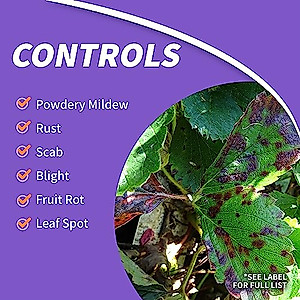 Bonide Fruit Tree & Plant Guard, 16 oz Ready-to-Spray Insect & Disease Control for Trees, Shrubs and Flowers
