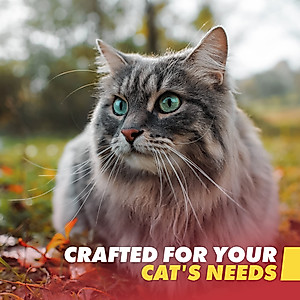 Emergency Zone - Cat Emergency Survival Kit - Bug Out, Emergency, Travel Kits, First Aid - Deluxe