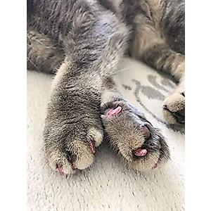 100pcs Cat Nail Caps/Tips YMCCOOL Pet Cat Kitty Soft Claws Covers Control Paws of 10 Multi-Colors Nails Caps and 5Pcs Adhesive Glue 5 Applicator with Instruction