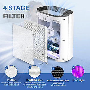 LBLVBNEWD 3-in-1 Purezone Replacement Filter Compatible with Pure Enrichment PureZone Air Purifier PEAIRPLG, H13 Grade True HEPA Filters 2-Pack