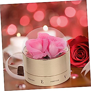 LALAFINA Box Packing Box Plastic to Go Containers Mini Chocolates Mini Cake Boxes Wedding Dome Cake Box Candy Buffet Containers Windowed Boxes Chocolate Box Unique Box Souvenir PC