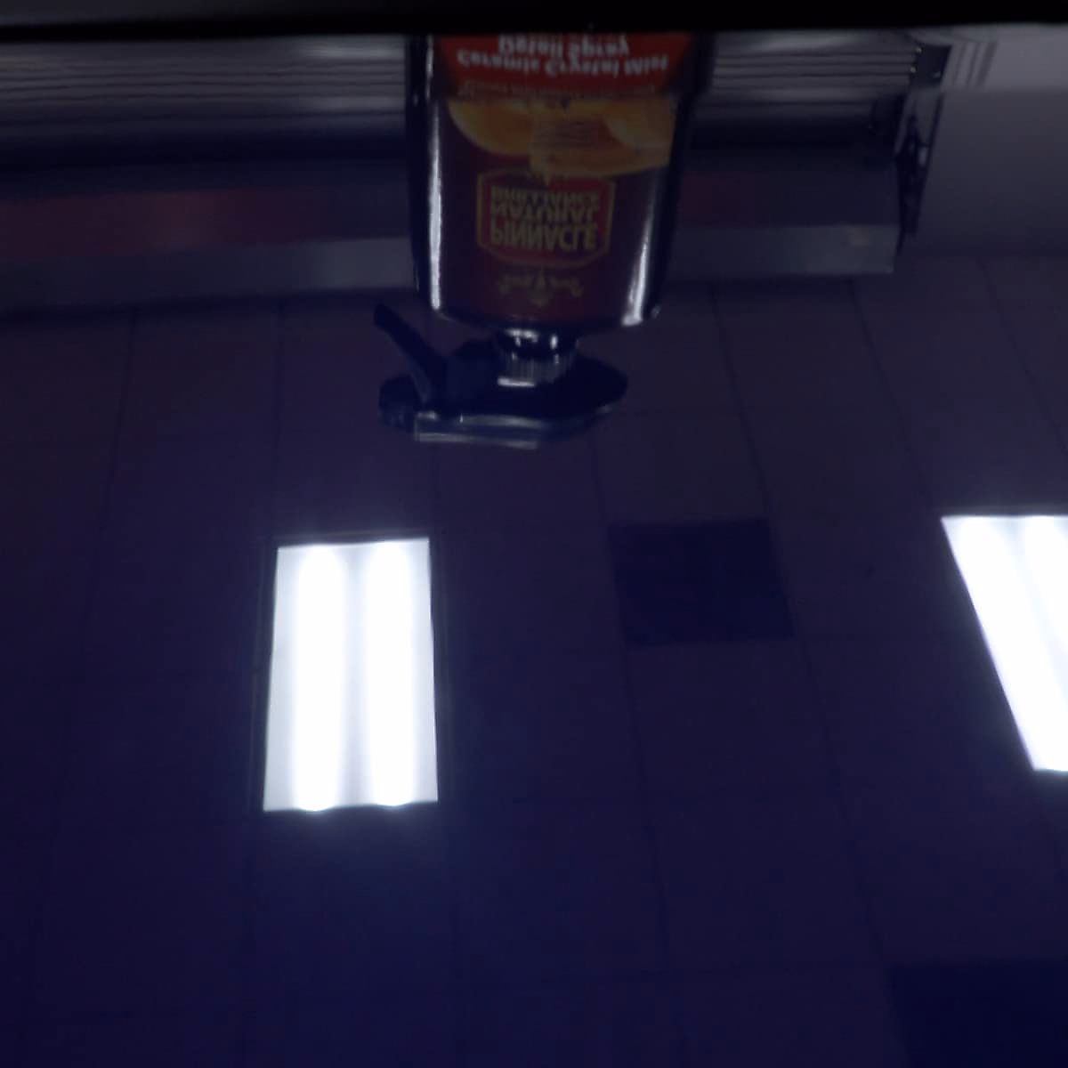 Pinnacle Natural Brilliance PIN-370 Crystal Mist Detail Spray, 16 fl. oz.