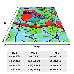 Colorful Birds Printed, Fashion Flannel Bed Blanket, Cozy Blanket Soft and Warm Sofa Blanket, Bedroom Blanket.40 X30