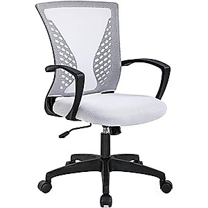 FLL Desk Chair Office Chair Swivel Computer Chair Executive Chair with Lumbar Support Armrests Adjustable Seat Height,Mesh Computer Chair Rolling Swivel Chair for Home Office Conference Room(White)