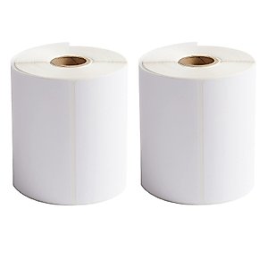 FungLam 2 Rolls 4x6 Direct Thermal Shipping Labels, 250 Labels/Roll, 1'' Core, Compatible Zebra 2844 ZP-450 ZP-500 ZP-505